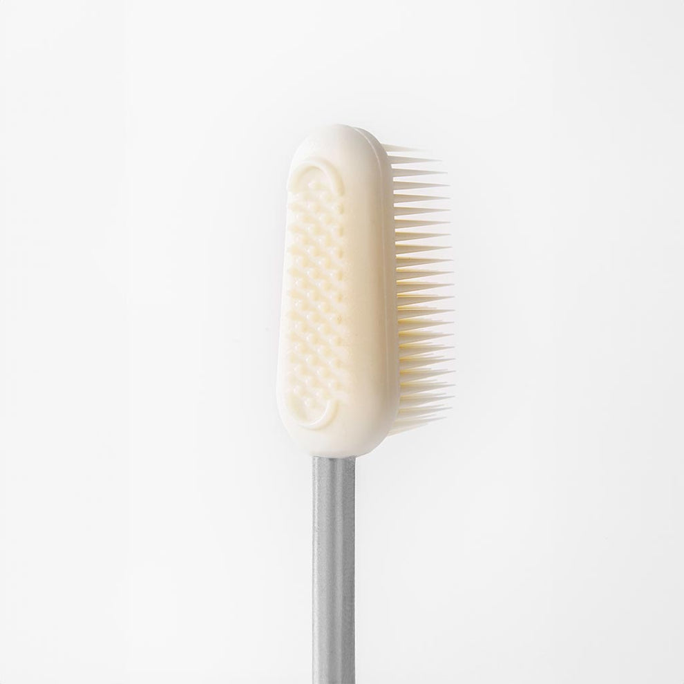 Toothbrush Heads – SINGULAR CARE